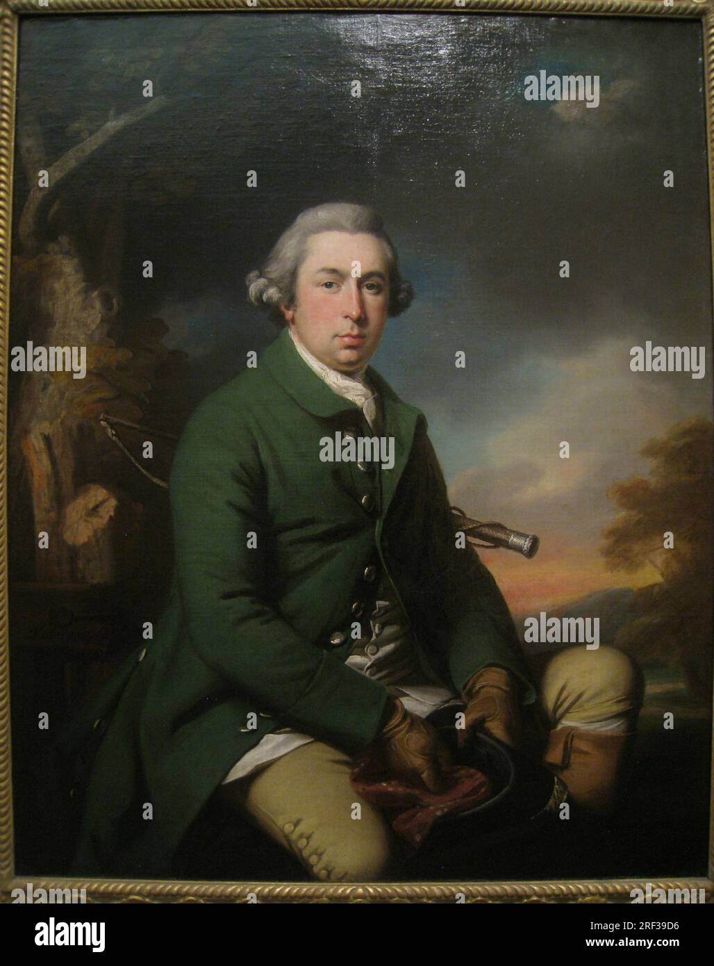 Portrait of William, Sixth Baron Craven 1768 by Francis Cotes Stock ...