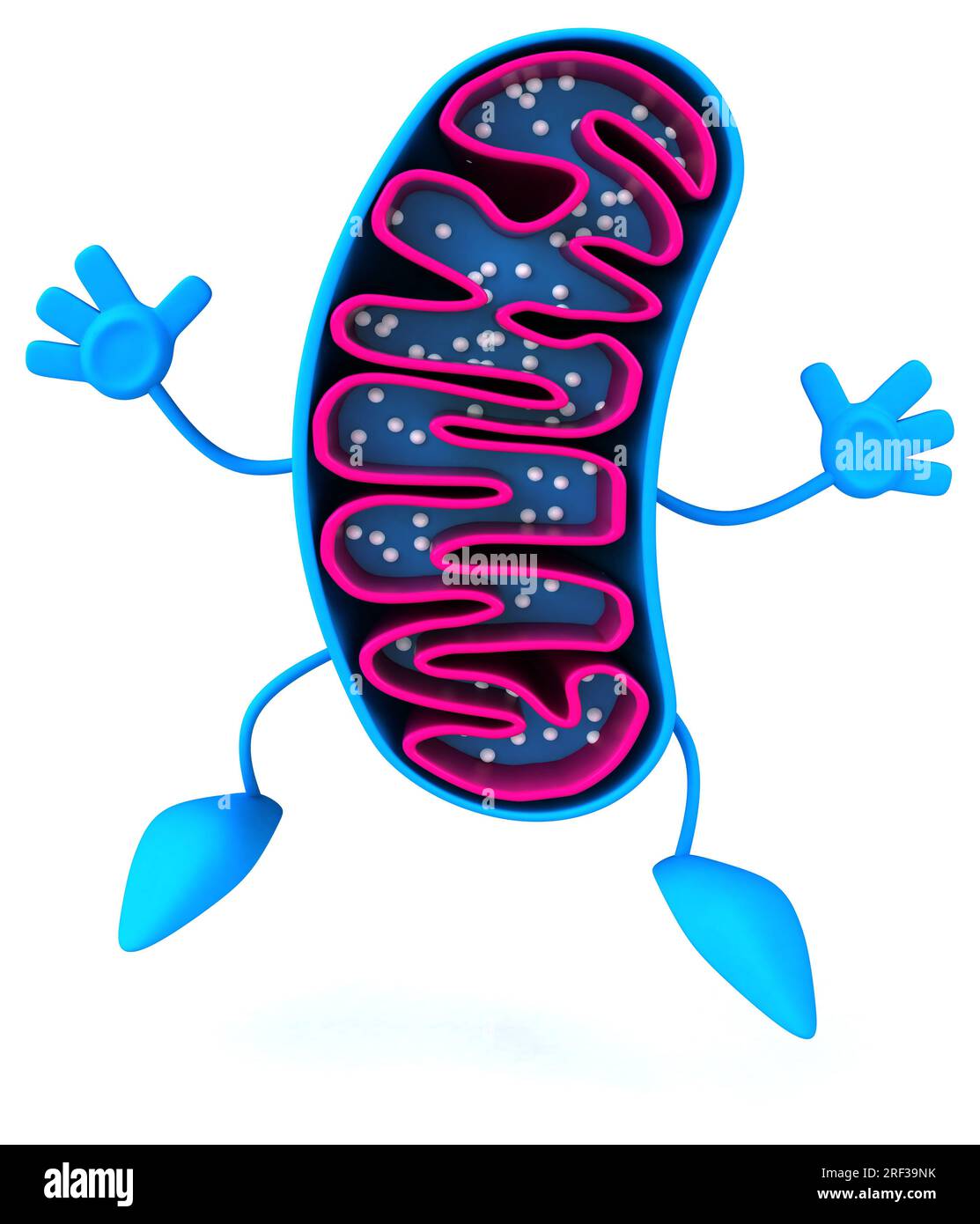 Fun 3D cartoon mitochondria character Stock Photo - Alamy