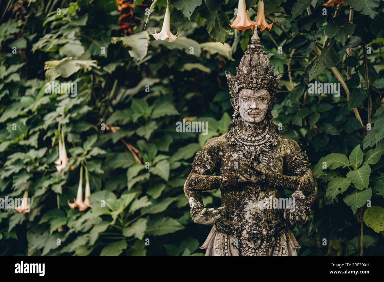 Close up shot of balinese statue with green leaves background ...