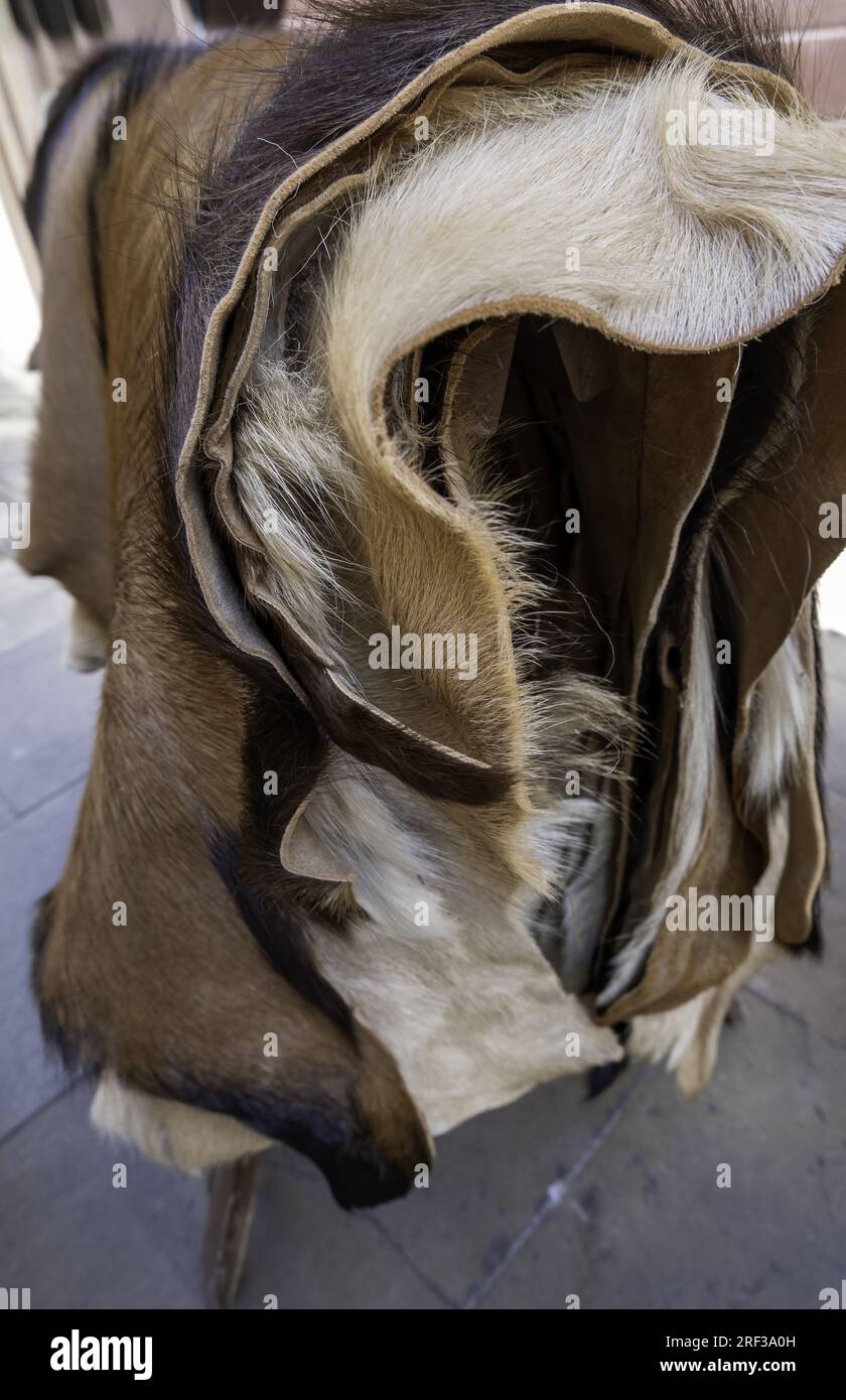 Animal skin detail, artisan tanning Stock Photo - Alamy