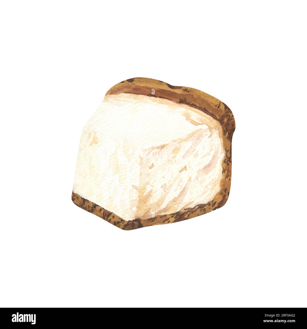 Watercolor dessert, piece of cheesecake. Hand-drawn illustration ...