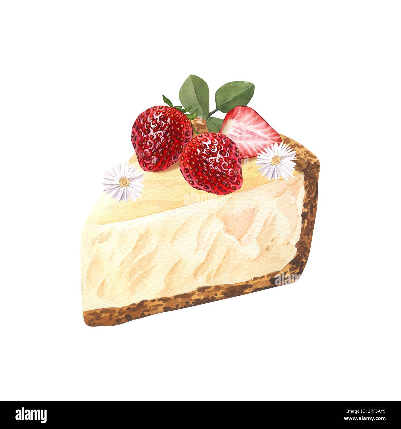 Watercolor dessert, piece of cheesecake with fresh strawberries. Hand ...