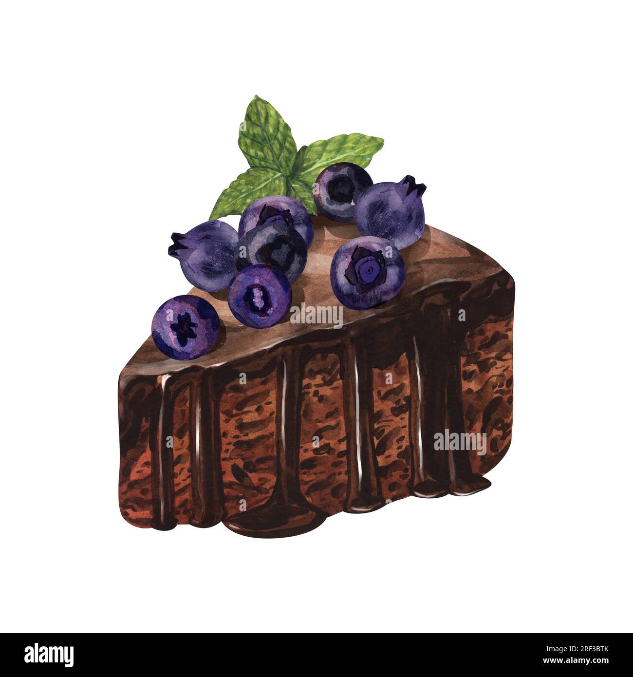 Watercolor dessert, chocolate cake with blueberry. Hand-drawn ...