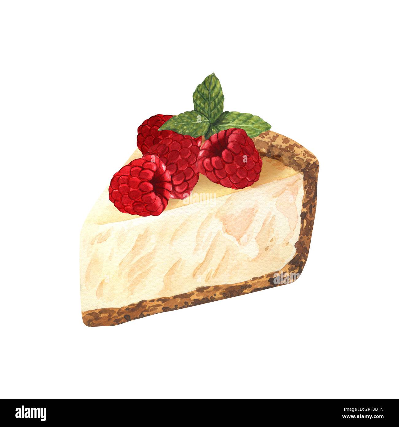 Watercolor dessert, cheesecake with raspberries. Hand-drawn ...