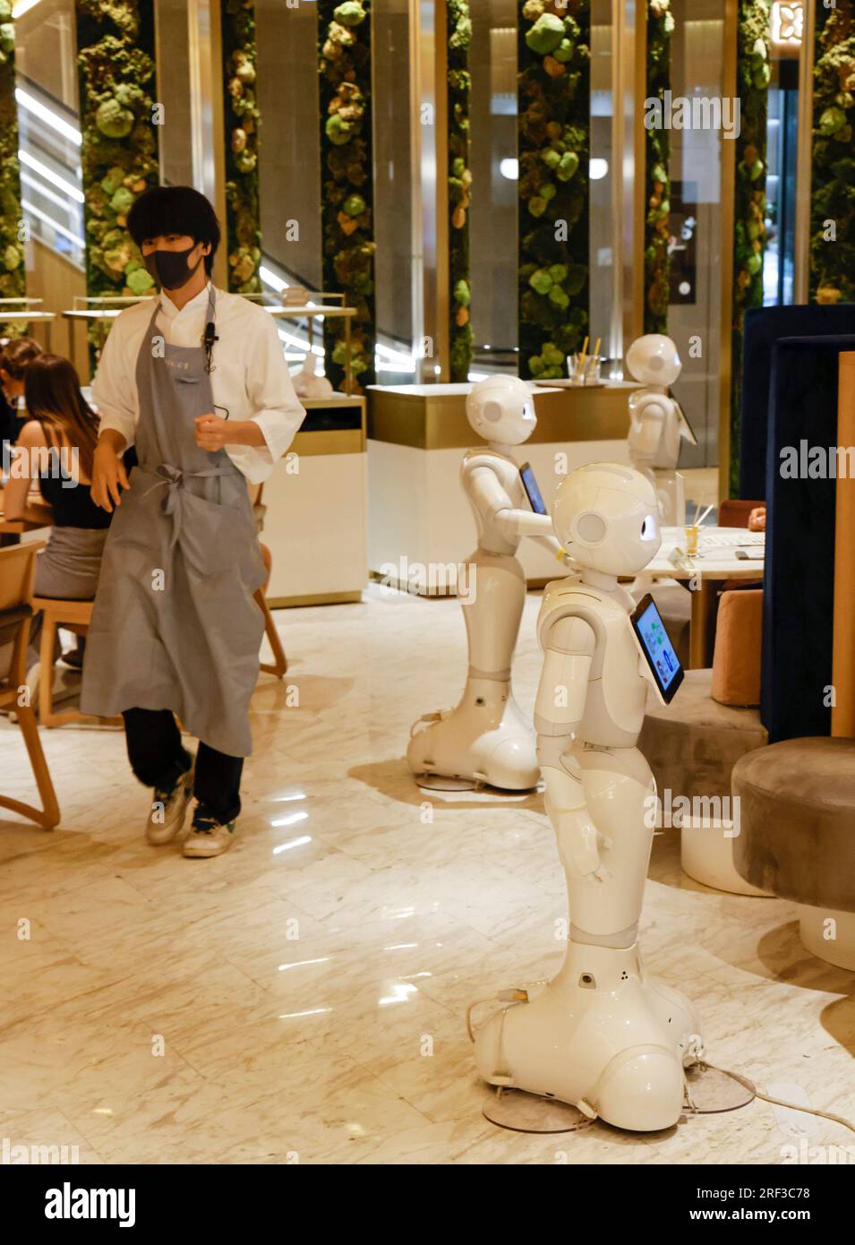 PEPPER PARLOR A UNIQUE CAFE EXPERIENCE IN THE HEART OF TOKYO Stock ...