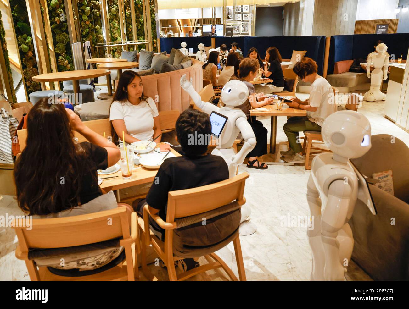 PEPPER PARLOR A UNIQUE CAFE EXPERIENCE IN THE HEART OF TOKYO Stock ...