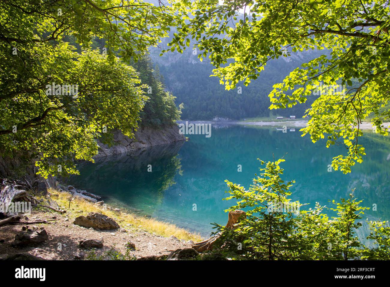 Dachstein spring gosau austria hi-res stock photography and images - Alamy
