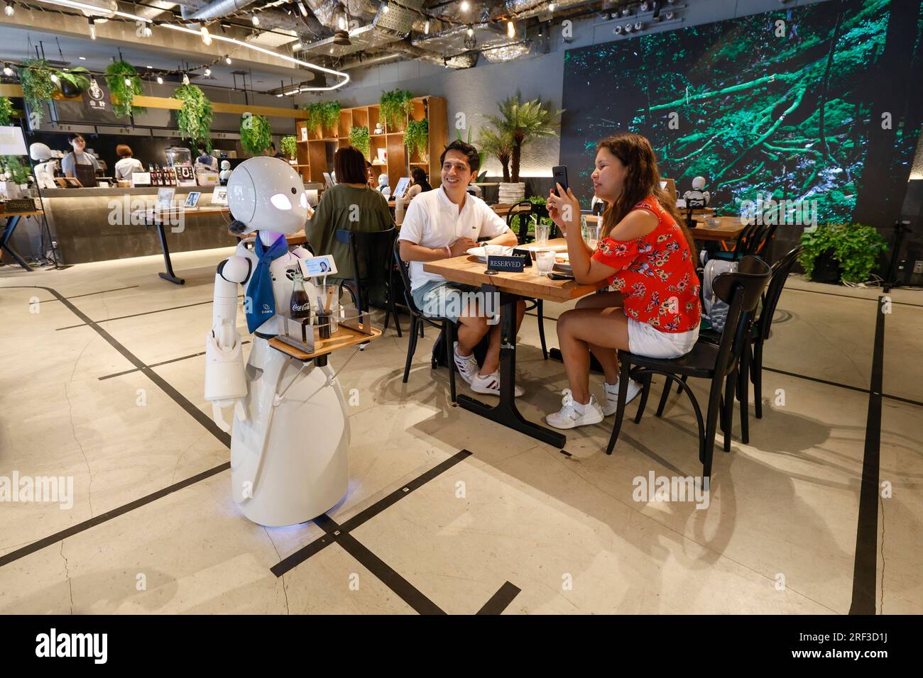 DAWN AVATAR ROBOT CAFE TOKYO Stock Photo - Alamy