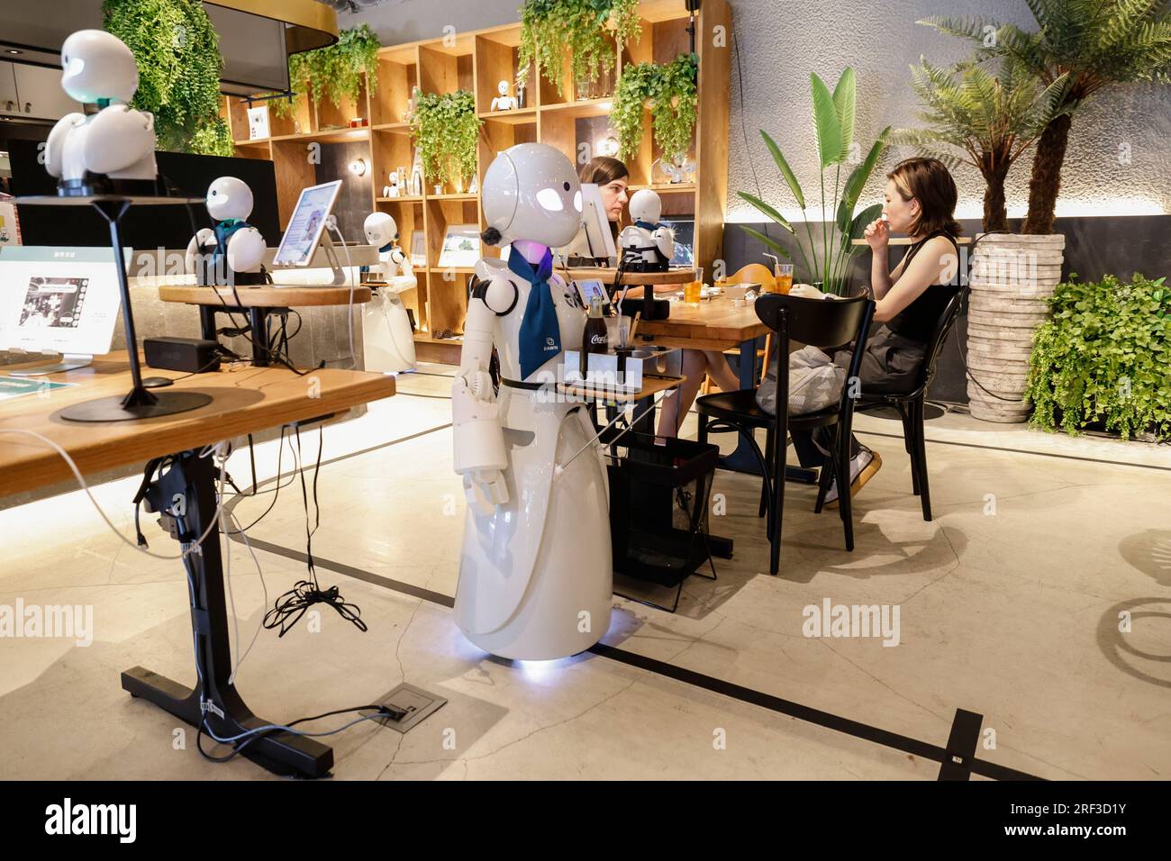 DAWN AVATAR ROBOT CAFE TOKYO Stock Photo - Alamy