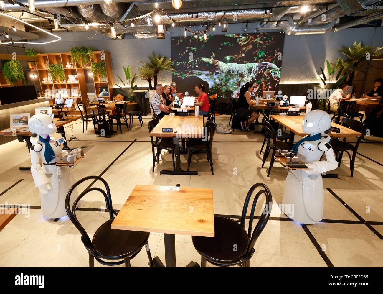 DAWN AVATAR ROBOT CAFE TOKYO Stock Photo - Alamy