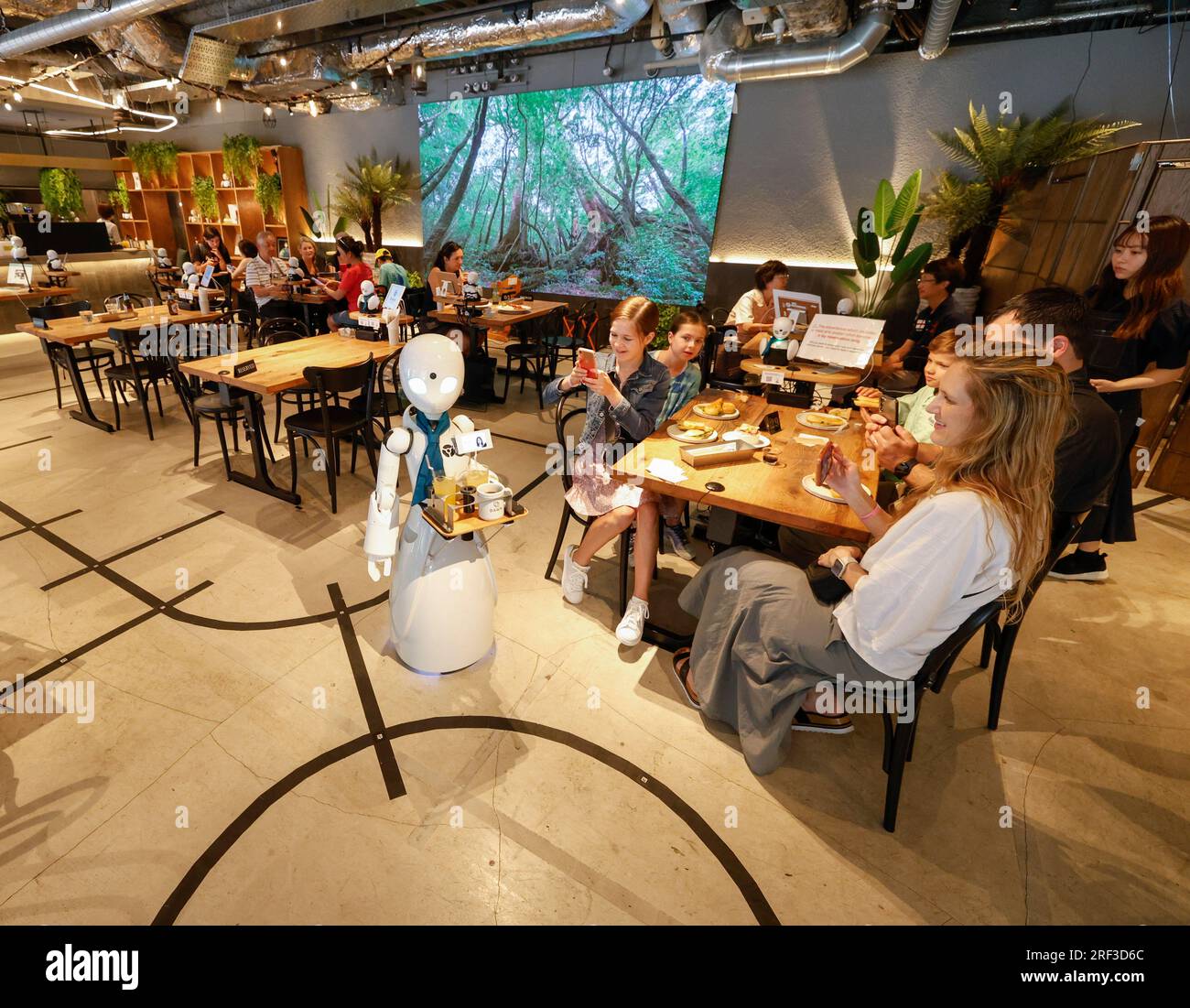 DAWN AVATAR ROBOT CAFE TOKYO Stock Photo - Alamy DAWN AVATAR ROBOT CAFE TOKYO Stock Photo - Alamy