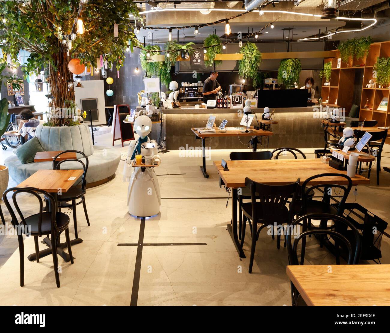DAWN AVATAR ROBOT CAFE TOKYO Stock Photo - Alamy