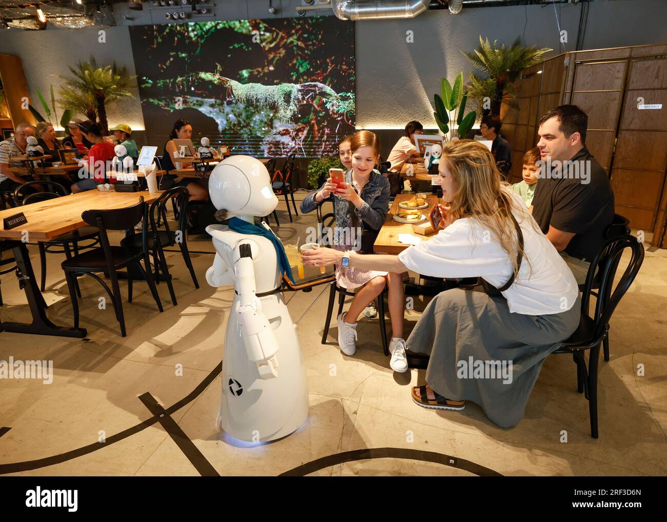 DAWN AVATAR ROBOT CAFE TOKYO Stock Photo - Alamy DAWN AVATAR ROBOT CAFE TOKYO Stock Photo - Alamy