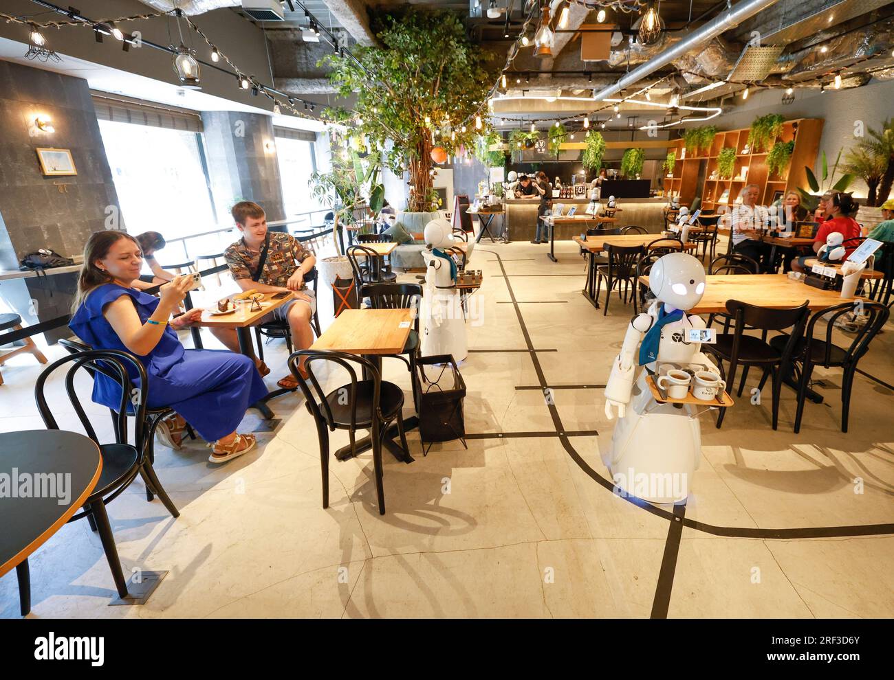 Robot waiter at restaurant hi-res stock photography and images - Alamy