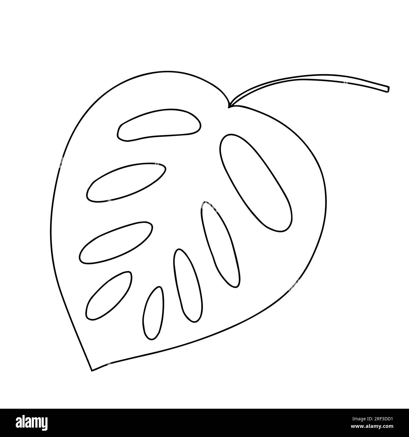 Monstera leaf doodle Stock Vector Image & Art - Alamy