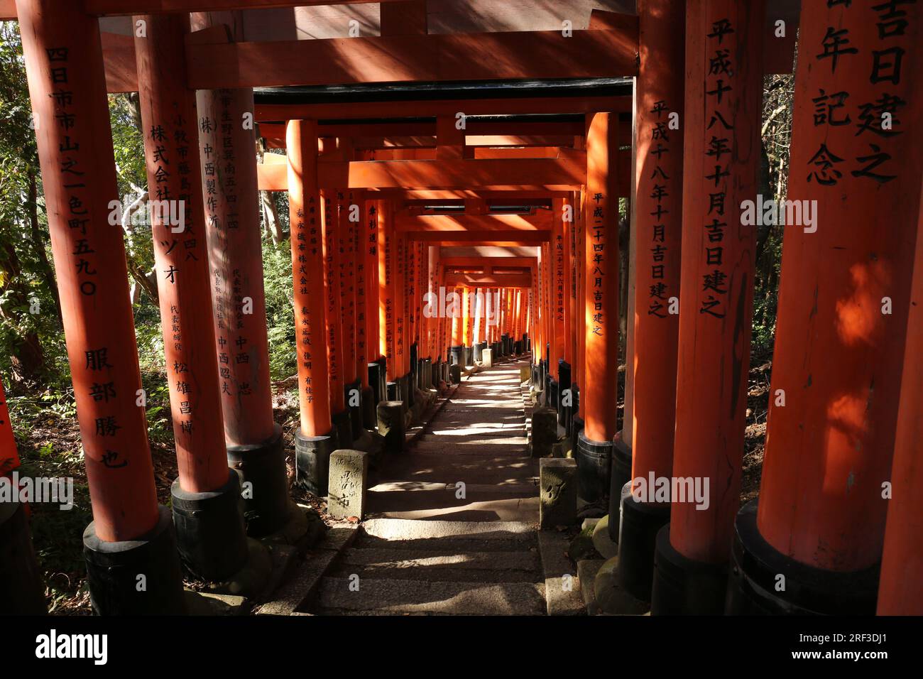 Rows of torii gates at Fushimi Inari Taisha, Kyoto, Japan Stock Photo ...