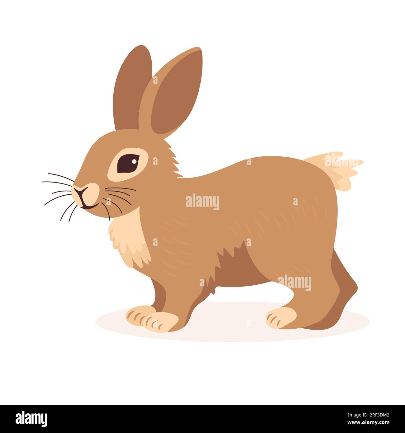 Flat Vector Cute Wild Animal - Hare or Rabbit. Forest Cartoon Bunny in ...