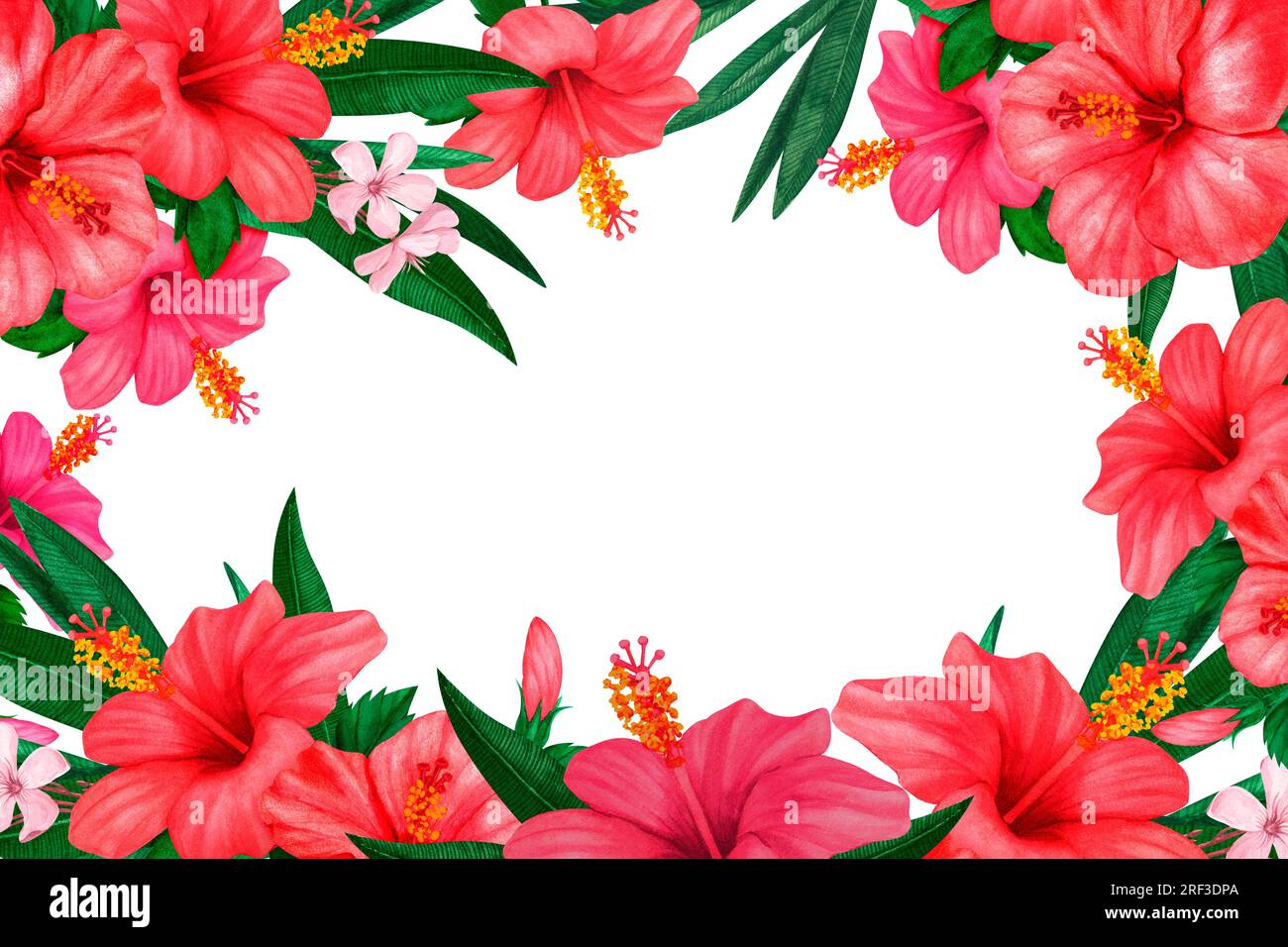 Wildflower hibiscus flower frame in hi-res stock photography and images ...