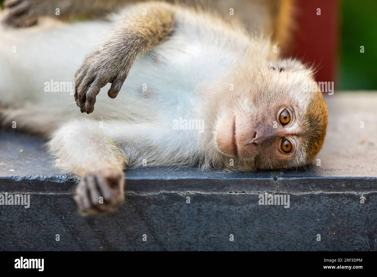 Staring Off Into Space