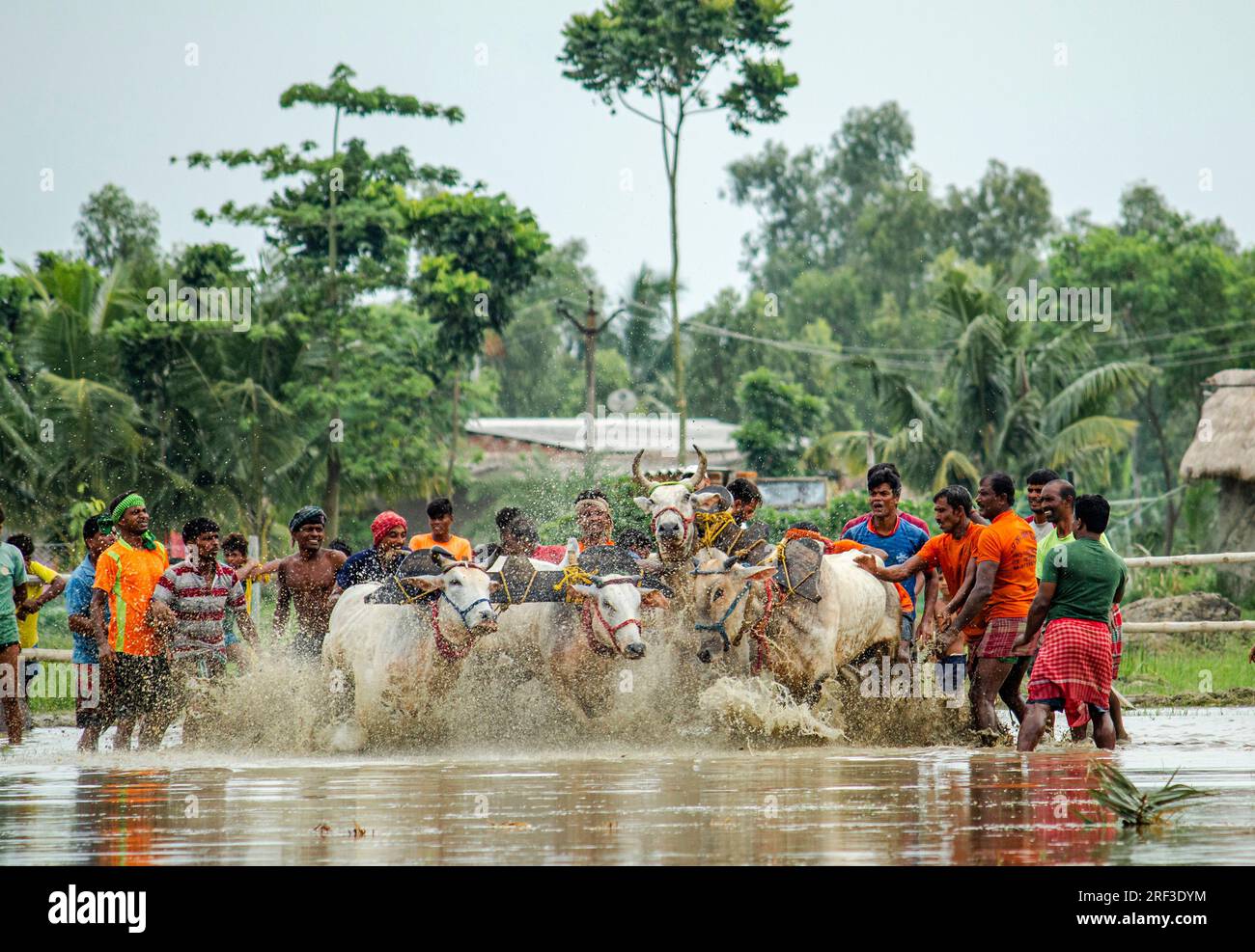 Moichara hi-res stock photography and images - Alamy