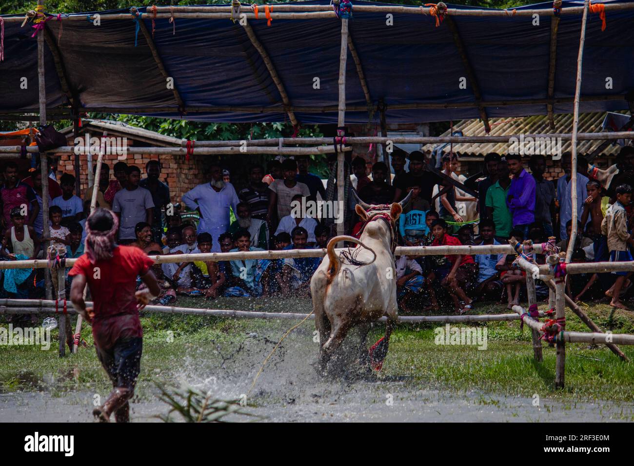 Kolkata, India. 30th July, 2023. Each year, the village of Herobhanga ...