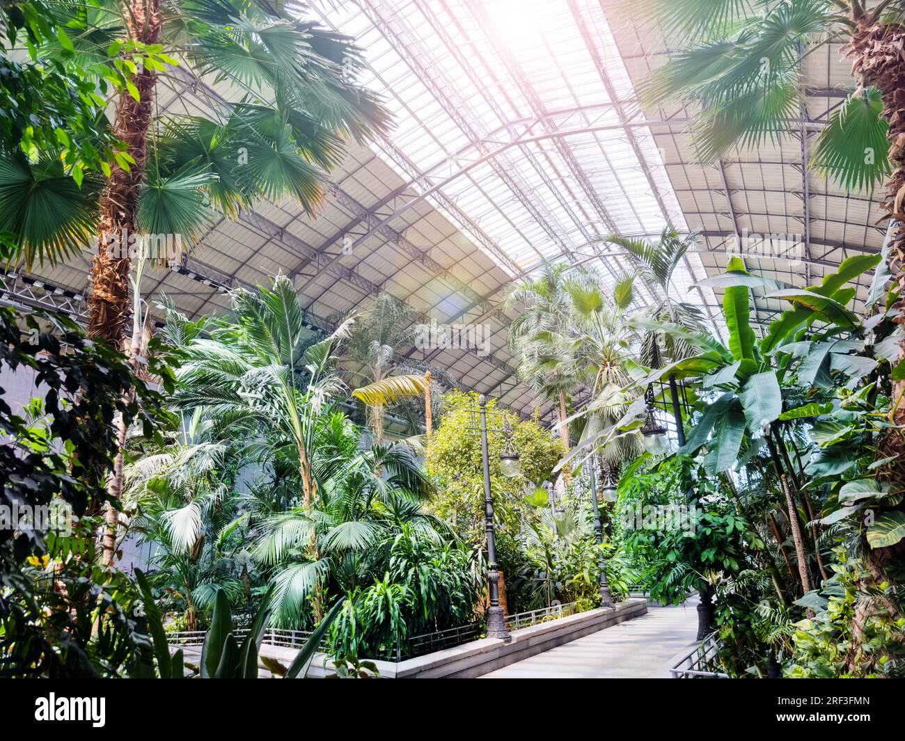 Tropical climate trees in Madrid train Atocha railway station Stock ...