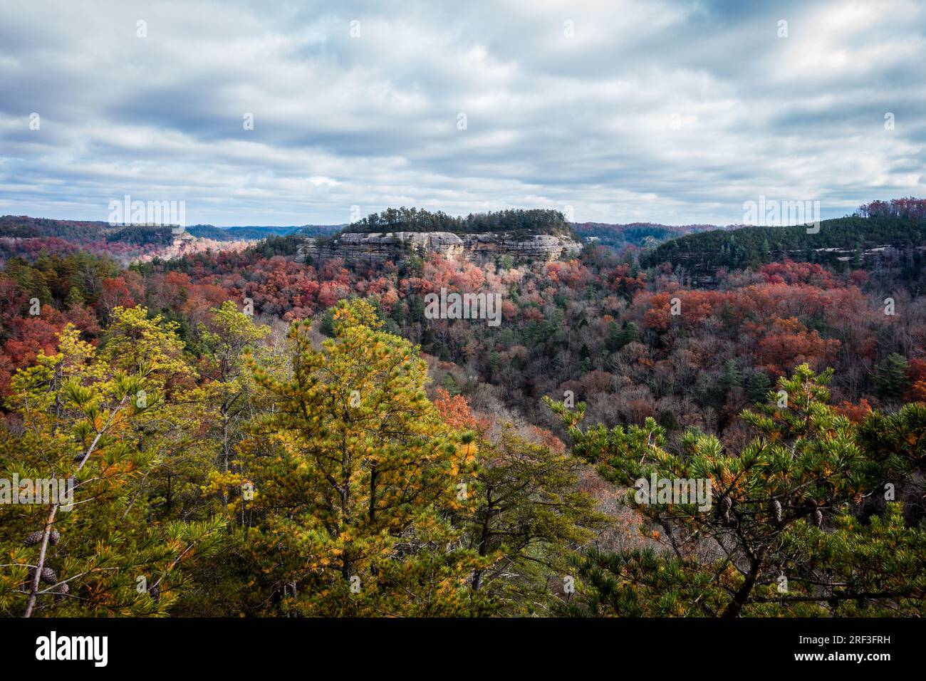 Scenic view of Ravens Rock from the Auxier Ridge Trail in Red River ...