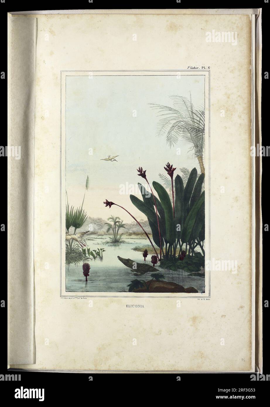 Charles etienne pierre motte hi-res stock photography and images - Alamy