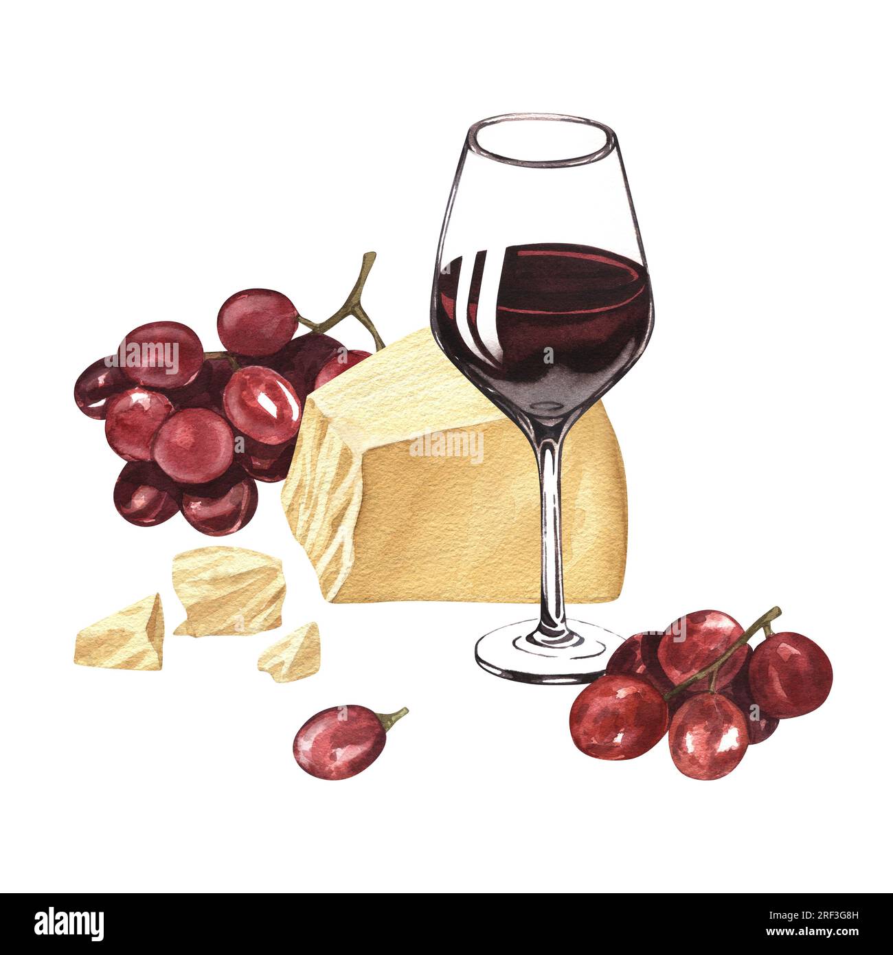 Watercolor illustration of the one glass of red wine, grape and ...