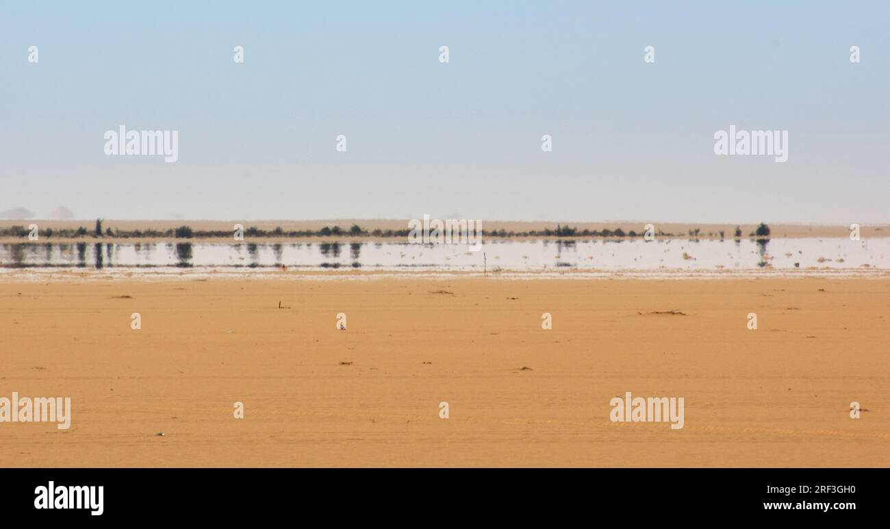 Reflective illusion hi-res stock photography and images - Alamy