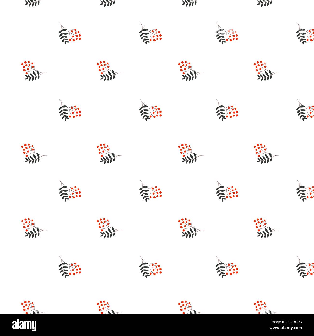 Rowan berry seamless autumn pattern on white background. Vector flat ...
