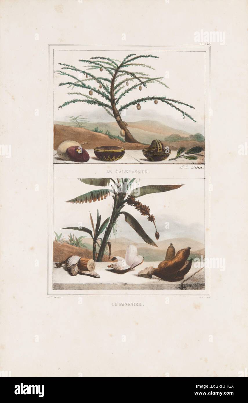 Le calebassier hi-res stock photography and images - Alamy