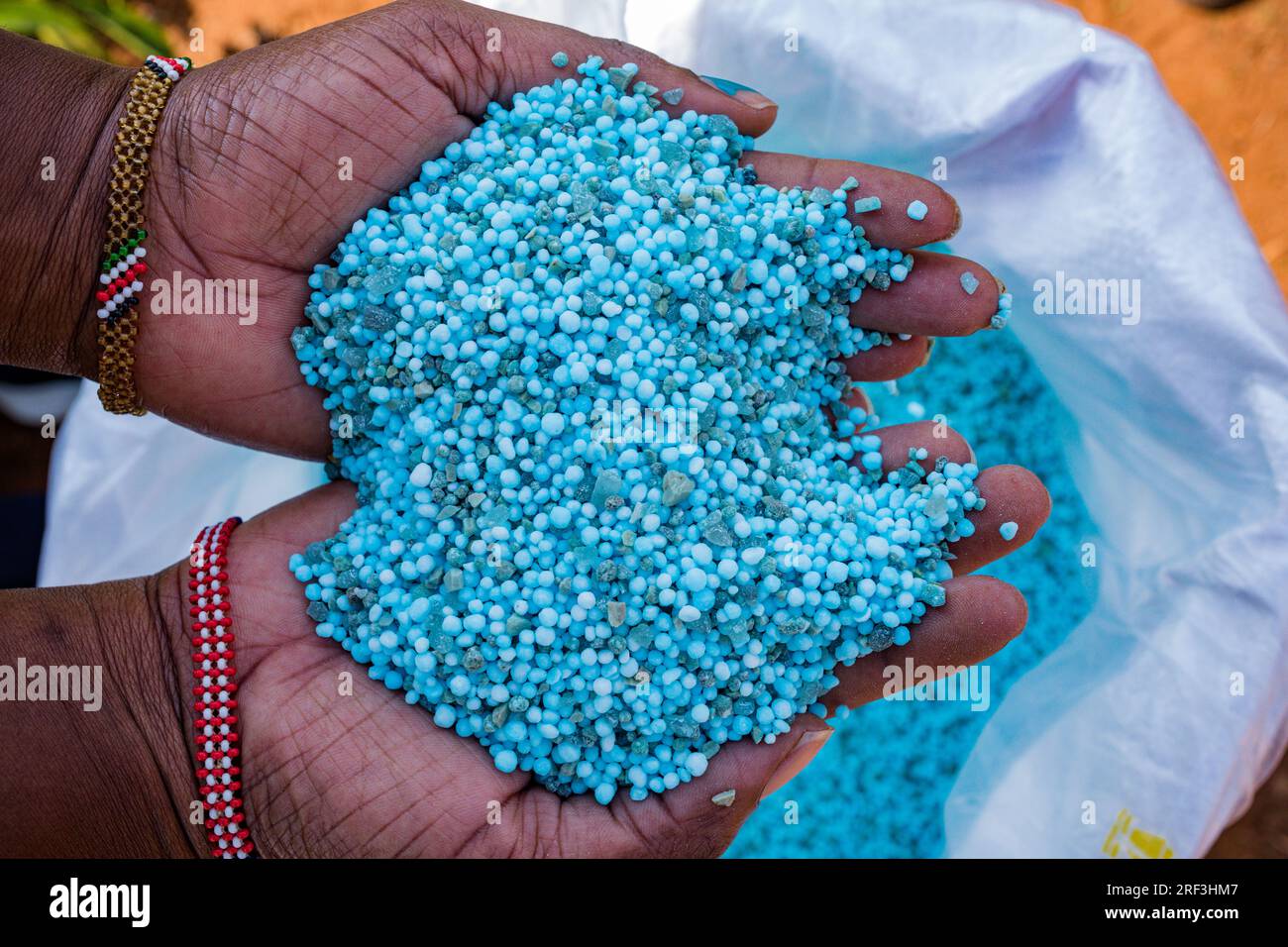 Kiambu County Limuru Tea Farm plantation in Kiambu County, Kenya Tea is ...