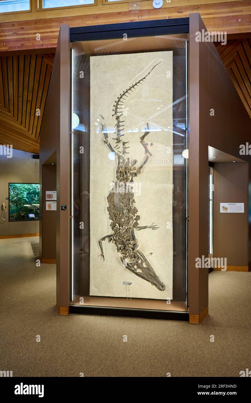 interior shot of Visitor Center of Fossil Butte National Monument ...