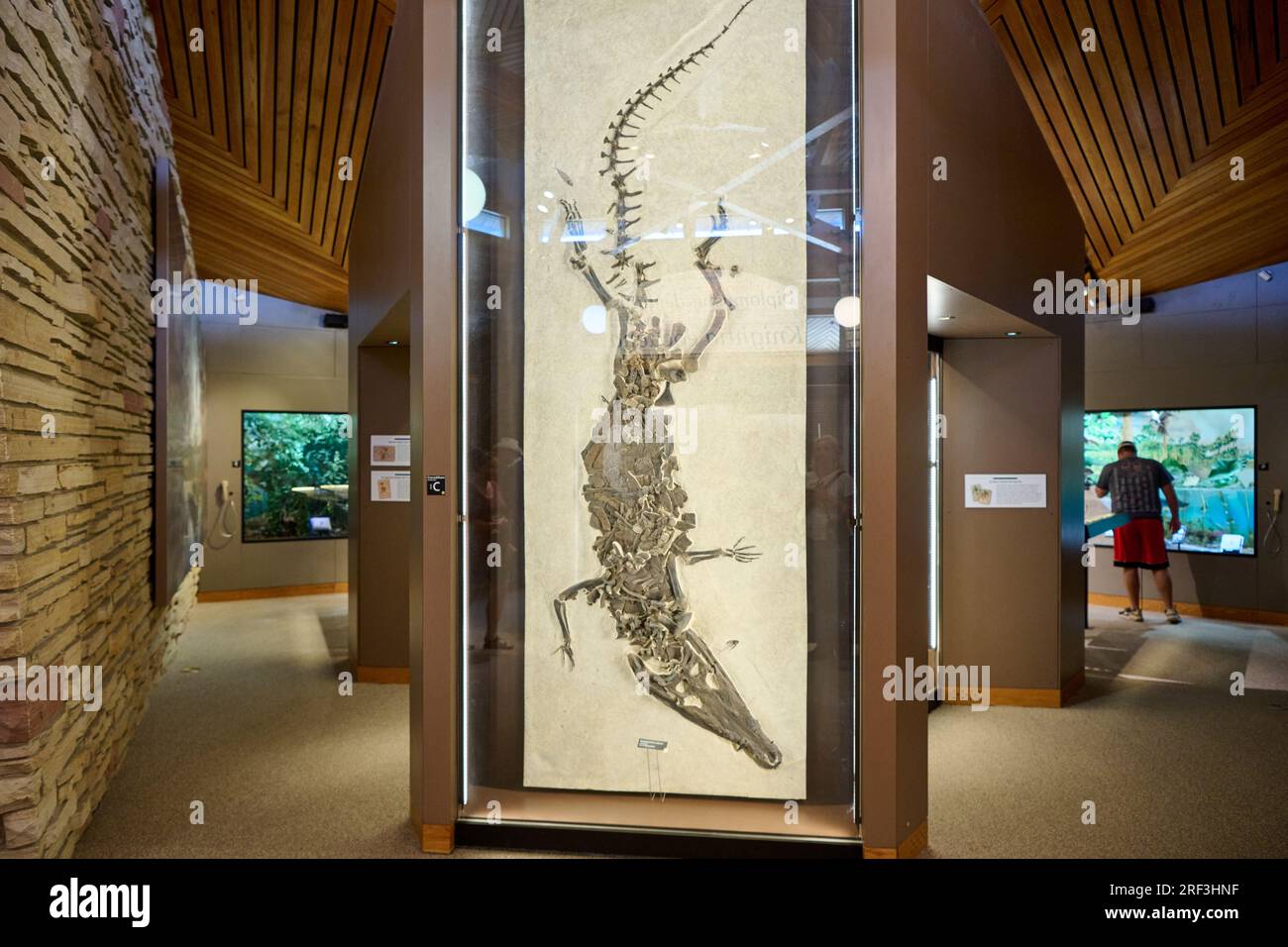 interior shot of Visitor Center of Fossil Butte National Monument ...