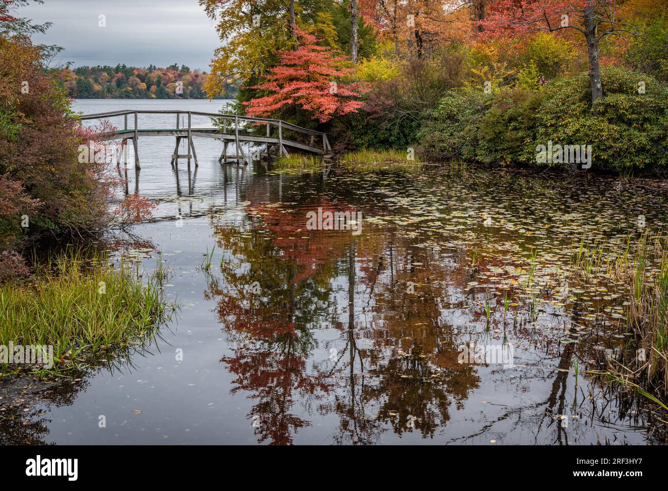 Conservancy narrow guage rail trail hi-res stock photography and images ...