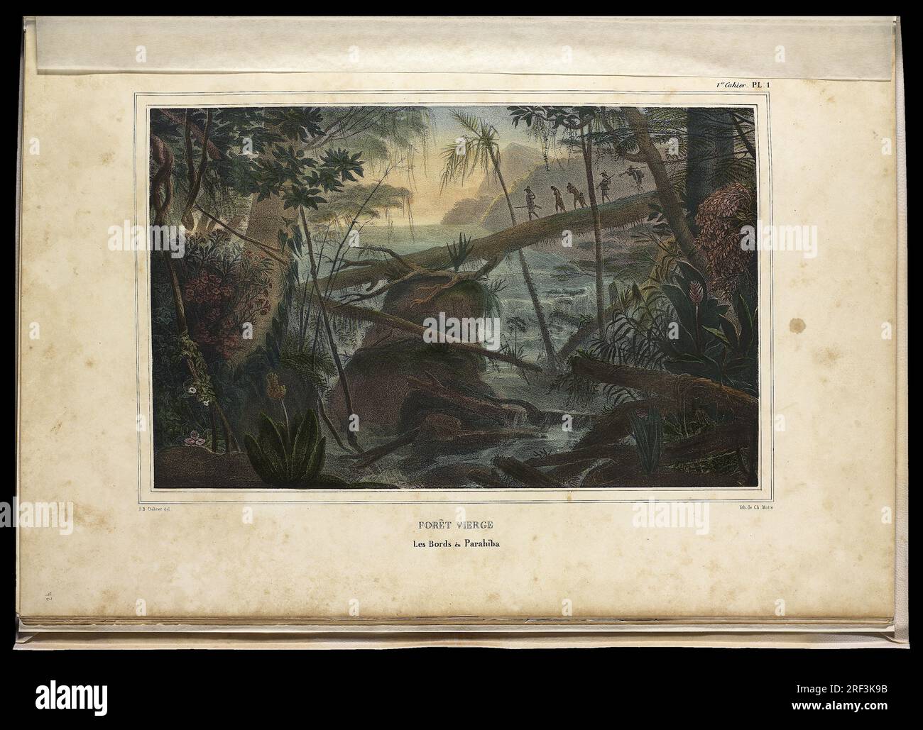 Forêt Vierge : Les Bords du Parahïba 1834 by Jean-Baptiste Debret Stock ...