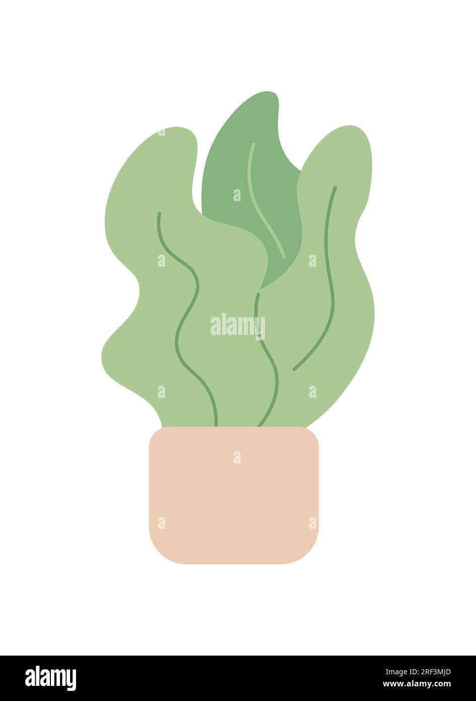 House plants care Cut Out Stock Images & Pictures - Alamy