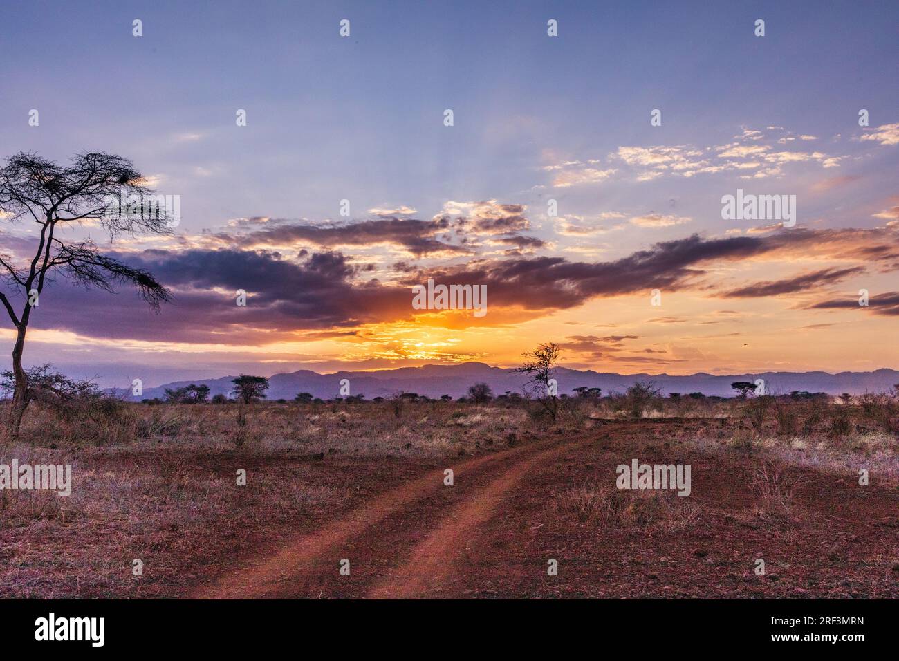 Meru National Park is a Kenyan national park located east of Meru, 350 ...