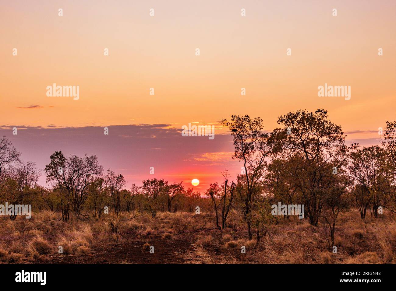 Meru National Park is a Kenyan national park located east of Meru, 350 ...