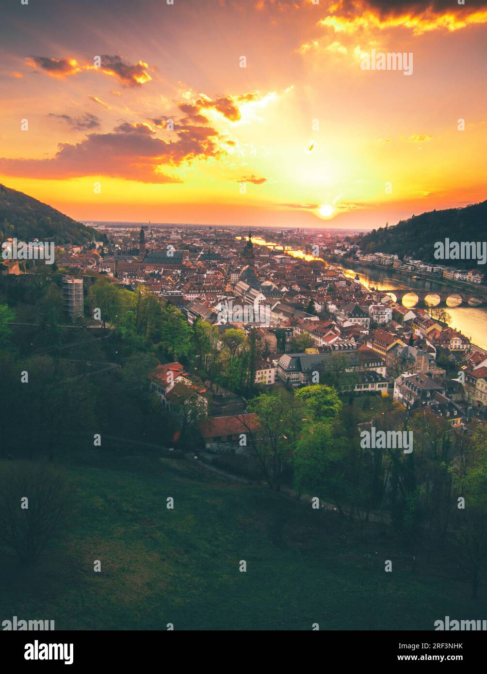 Nice view from and in nature over a city Heidelberg. In the evening ...