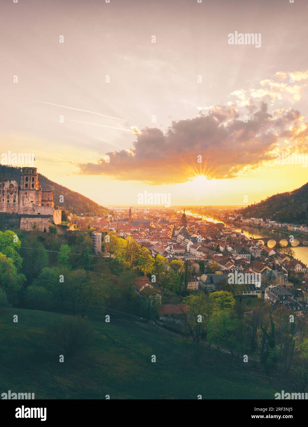 Nice view from and in nature over a city Heidelberg. In the evening ...