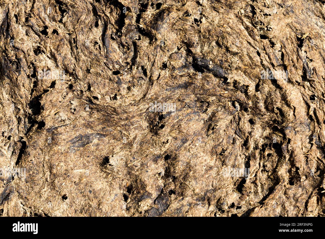 dry manure that is used to fertilize the territory of a rural field and ...