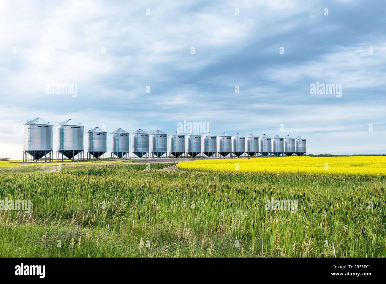 Saskatchewan Farm Landscape