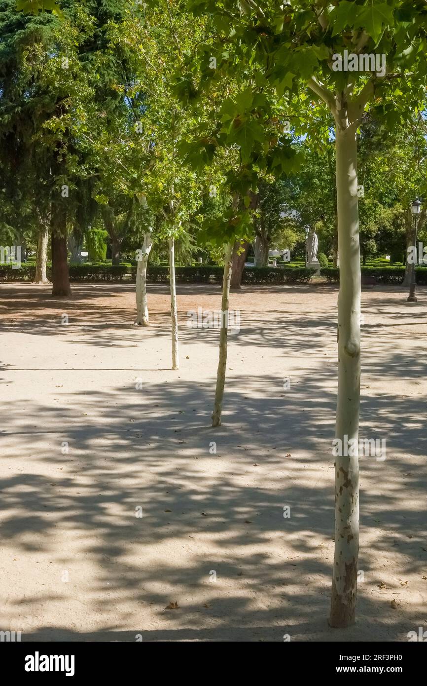 Vertical view of the royal palace in madrid hi-res stock photography ...