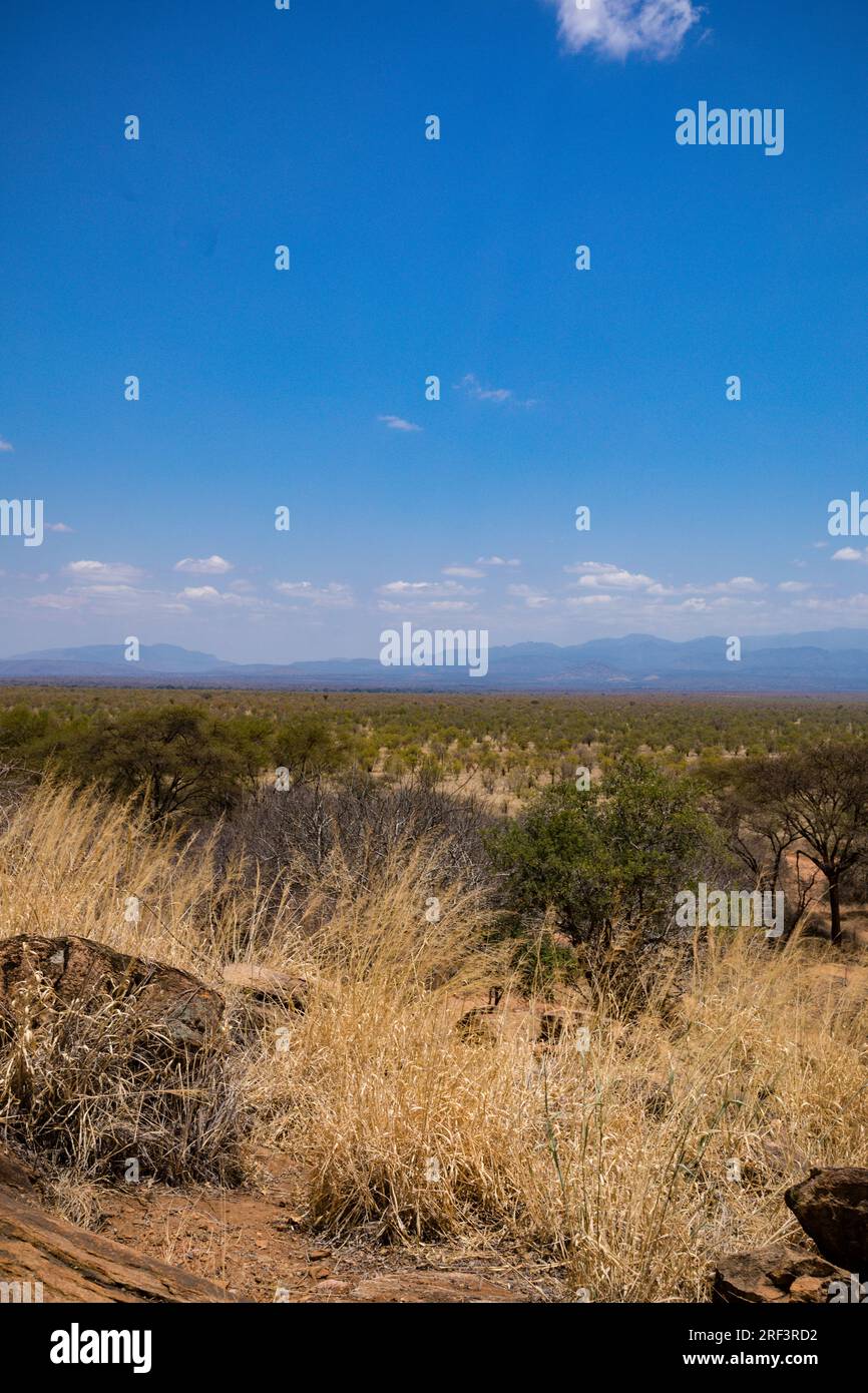 Meru National Park is a Kenyan national park located east of Meru, 350 ...
