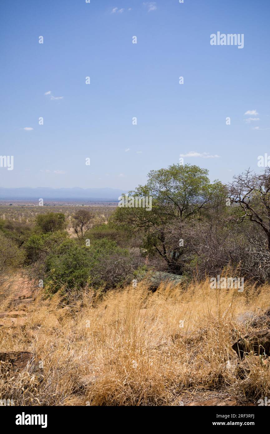 Meru National Park is a Kenyan national park located east of Meru, 350 ...