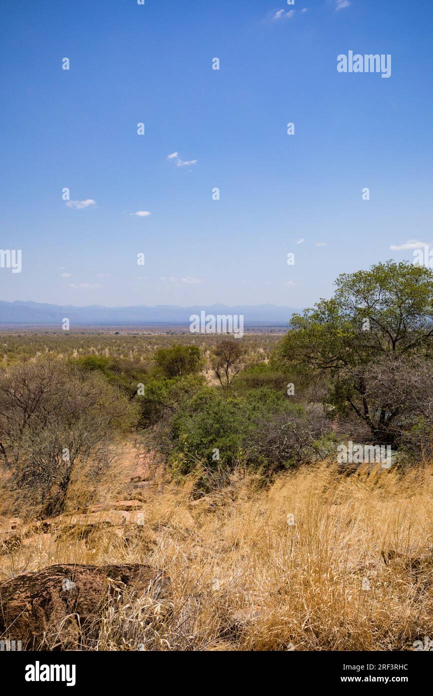 Meru National Park is a Kenyan national park located east of Meru, 350 ...