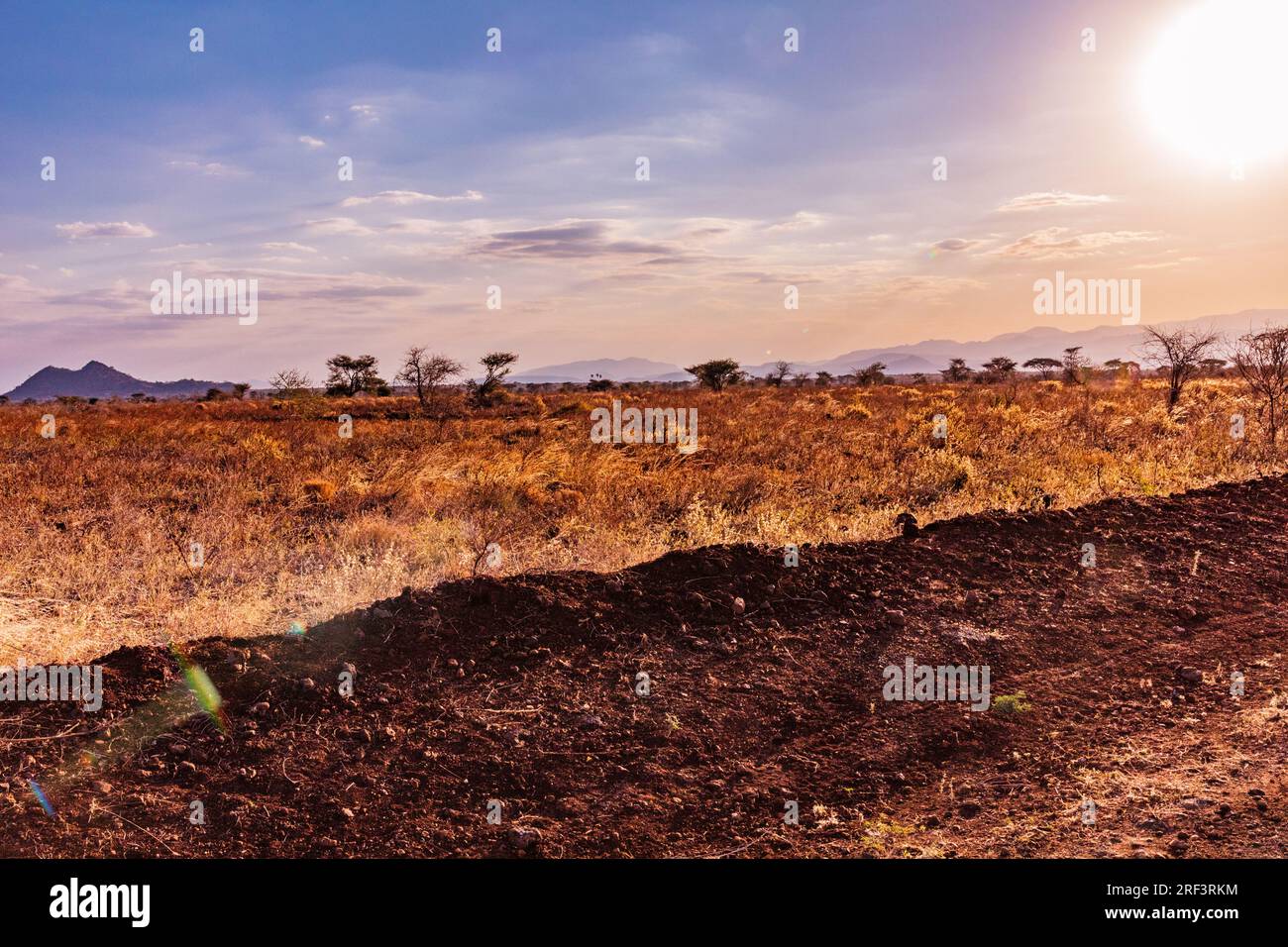 Meru National Park is a Kenyan national park located east of Meru, 350 ...