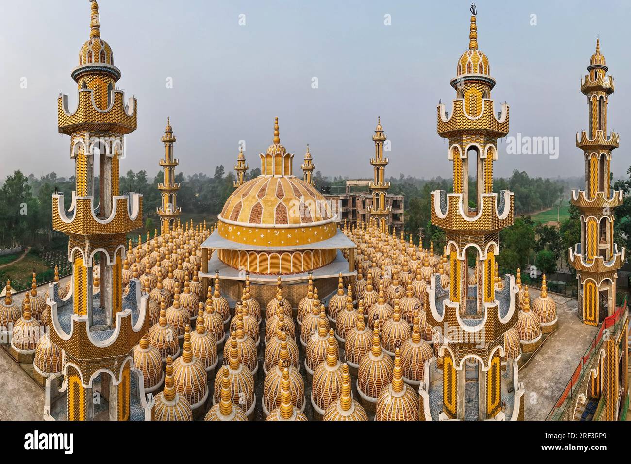 View of the geometric pattern of the islamic 201 Dome Mosque along ...